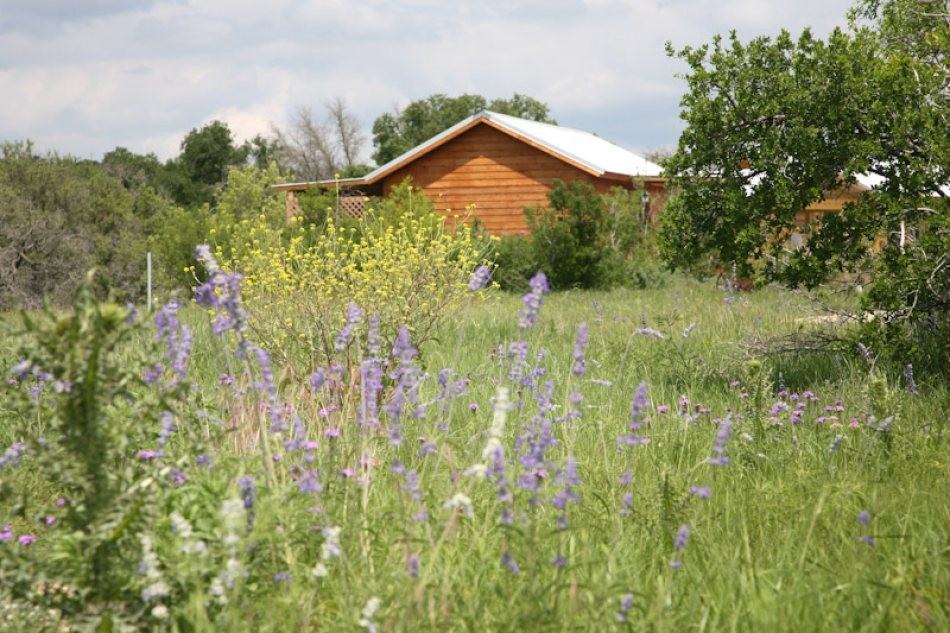 Ciudad sobre una colina en Spring Creek | Visita Fredericksburg